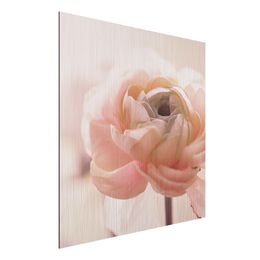 Bilderwelten Alu Dibond Outdoor Bild rosa Motiv wetterfest - Rosa Bl&uuml;te im Fokus - Rose Wohnzimmer Schlafzimmer