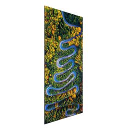 Bilderwelten Alu-Dibond Outdoor Bild Serpentine im Transsilvanischen Wald