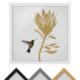 Bilderwelten Bild mit Rahmen Tiere gold Tropisch inkl. Rahmung - Kolibri und tropische goldene Bl&uuml;te - Pflanzen Wohnzimmer Schlafzimmer