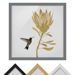 Bilderwelten Bild mit Rahmen Kolibri und tropische goldene Bl&uuml;te