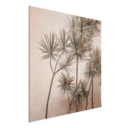 Bilderwelten Alu Dibond Outdoor Bild Natur gr&uuml;n Tropisch wetterfest - Sonnengek&uuml;sste Palmen - Palme Wohnzimmer Schlafzimmer