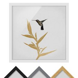 Bilderwelten Bild mit Rahmen Tiere gold Tropisch inkl. Rahmung - Kolibri und tropische goldene Bl&uuml;te II - Pflanzen Wohnzimmer Schlafzimmer