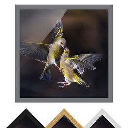 Bilderwelten Bild mit Rahmen K&uuml;ssende Kolibris