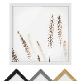 Bilderwelten Bild mit Rahmen Blumen beige Landhaus inkl. Rahmung - Getrocknetes Kammgras - Gr&auml;ser Wohnzimmer Schlafzimmer