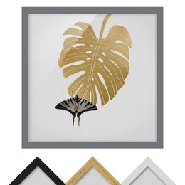 Bilderwelten Bild mit Rahmen Goldene Monstera mit Schmetterling