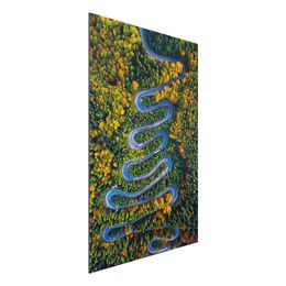 Bilderwelten Alu Dibond Outdoor Bild Natur gr&uuml;n Motiv wetterfest - Serpentine im Transsilvanischen Wald - Landschaft Wohnzimmer Schlafzimmer