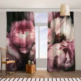 Bilderwelten Vorhang Pfingstrosen vor Schwarz Shabby - blickdichte Gardine Blumen Floral Landhausstil Shabby Wohnzimmer Schlafzimmer Küche Bad Badezimmer Rosa
