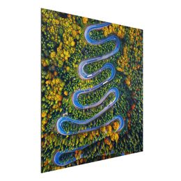 Alu Dibond Outdoor Bild - Serpentine im Transsilvanischen Wald - Natur gr&uuml;n Motiv wetterfest Landschaft Wohnzimmer Schlafzimmer