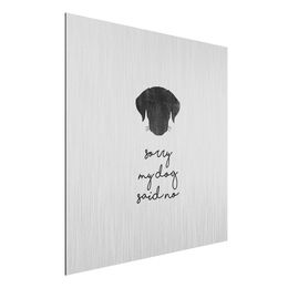 Alu Dibond Outdoor Bild - Haustier Zitat Sorry My Dog Said No - Tiere schwarz weiss modern wetterfest Hund Jugendzimmer