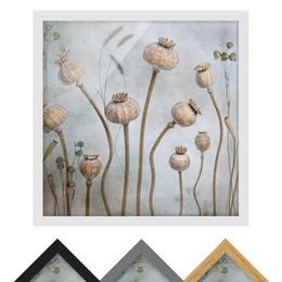 Bilderwelten Bild mit Rahmen Getrockneter Mohn