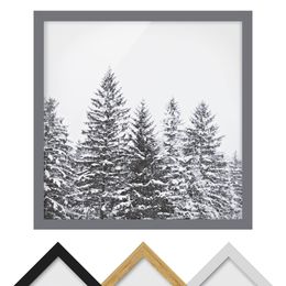 Bilderwelten Bild mit Rahmen Dunkle Winterlandschaft