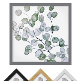 Bilderwelten Bild mit Rahmen Gr&uuml;nes Aquarell Eukalyptuszweig