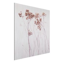 Bilderwelten Alu Dibond Outdoor Bild Blumen beige Landhaus wetterfest - Isl&auml;ndische Wildblumen - Gr&auml;ser Wohnzimmer Schlafzimmer