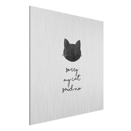Bilderwelten Alu Dibond Outdoor Bild Tiere schwarz weiss modern wetterfest - Haustier Zitat Sorry My Cat Said No - Katze Jugendzimmer
