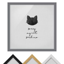 Bilderwelten Bild mit Rahmen Haustier Zitat Sorry My Cat Said No