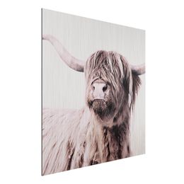 Alu Dibond Outdoor Bild - Hochlandrind Frida in Beige - Tiere beige Motiv wetterfest Deko Wohnzimmer Schlafzimmer