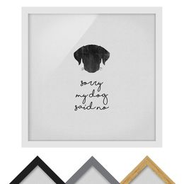 Bilderwelten Bild mit Rahmen Tiere schwarz weiss modern inkl. Rahmung - Haustier Zitat Sorry My Dog Said No - Hund Jugendzimmer