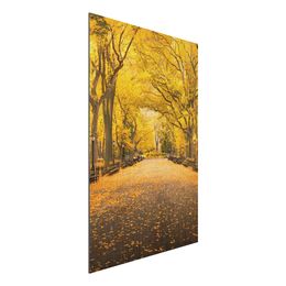 Bilderwelten Alu Dibond Outdoor Bild Stadt orange Motiv wetterfest - Herbst im Central Park - Amerika Wohnzimmer Schlafzimmer