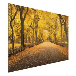 Bilderwelten Alu Dibond Outdoor Bild Stadt orange Motiv wetterfest - Herbst im Central Park - Amerika Wohnzimmer Schlafzimmer