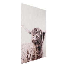Bilderwelten Alu Dibond Outdoor Bild Tiere beige Motiv wetterfest - Hochlandrind Frida in Beige - Deko Wohnzimmer Schlafzimmer