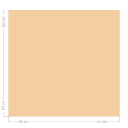 Bilderwelten Vorhang Pastell Orange - blickdichte Gardine Unifarben Wohnzimmer Schlafzimmer K&uuml;che Bad Badezimmer Jugendzimmer Kinderzimmer Orange