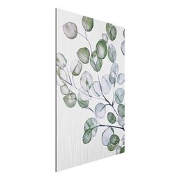 Bilderwelten Alu Dibond Outdoor Bild originell gr&uuml;n Tropisch Aquarell - Gr&uuml;nes Aquarell Eukalyptuszweig - Pflanzen Wohnzimmer Schlafzimmer
