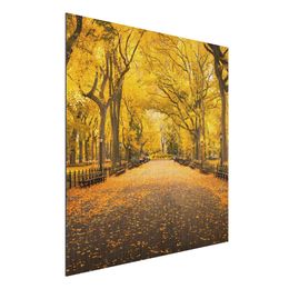 Alu Dibond Outdoor Bild - Herbst im Central Park - Stadt orange Motiv wetterfest Amerika Wohnzimmer Schlafzimmer