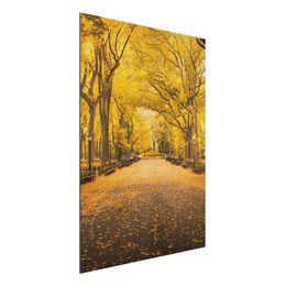 Bilderwelten Alu Dibond Outdoor Bild Stadt orange Motiv wetterfest - Herbst im Central Park - Amerika Wohnzimmer Schlafzimmer