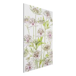 Alu Dibond Outdoor Bild - Gro&szlig;e Sterndolden - Blumen gr&uuml;n Motiv wetterfest Deko Wohnzimmer Schlafzimmer