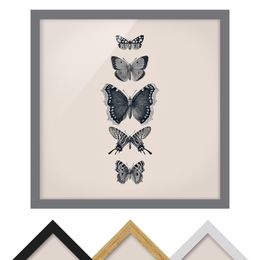Bilderwelten Bild mit Rahmen Tusche Schmetterlinge auf Beige