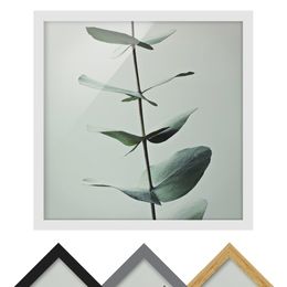Bilderwelten Bild mit Rahmen gr&uuml;n Tropisch inkl. Rahmung - Symmetrischer Eukalyptuszweig - Pflanzen Wohnzimmer Schlafzimmer