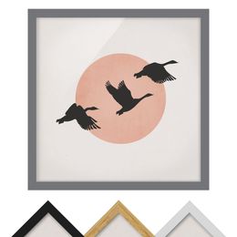 Bilderwelten Bild mit Rahmen V&ouml;gel vor rosa Sonne III