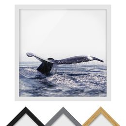 Bilderwelten Bild mit Rahmen Wal Gesang auf Island
