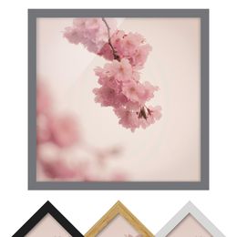 Bilderwelten Bild mit Rahmen Zartrosane Fr&uuml;hlingsbl&uuml;te mit Bokeh