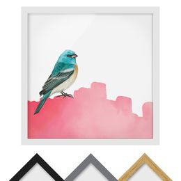 Bilderwelten Bild mit Rahmen Tiere pink Illustration inkl. Rahmung - Vogel auf Pink - V&ouml;gel Wohnzimmer Schlafzimmer