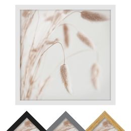 Bilderwelten Bild mit Rahmen Blumen beige Landhaus inkl. Rahmung - Zartes Glanzgras - Gr&auml;ser Wohnzimmer Schlafzimmer