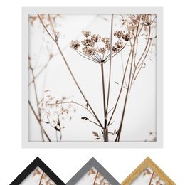 Bilderwelten Bild mit Rahmen Blumen braun Motiv inkl. Rahmung - Trockenblume im Lichtspiel - Deko Wohnzimmer Schlafzimmer