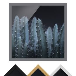 Bilderwelten Bild mit Rahmen W&uuml;stenkaktus bei Nacht