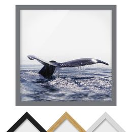 Bilderwelten Bild mit Rahmen Wal Gesang auf Island