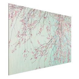 Alu Dibond Outdoor Bild - Kirschbl&uuml;tensehnsucht - Blumen t&uuml;rkis Motiv wetterfest Kirschbl&uuml;te Wohnzimmer Schlafzimmer