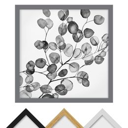 Bilderwelten Bild mit Rahmen Schwarz Wei&szlig; Aquarell Eukalyptuszweig