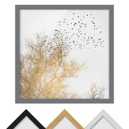 Bilderwelten Bild mit Rahmen Vogelschwarm vor goldenem Baum