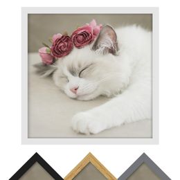 Bilderwelten Bild mit Rahmen Tiere weiss Motiv inkl. Rahmung - Schlafende Katze mit Rosen - Rose Kinderzimmer Baby M&auml;dchen Jungen