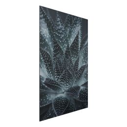 Alu Dibond Outdoor Bild - Kaktus mit Sternpunkten bei Nacht - schwarz Motiv wetterfest Deko Wohnzimmer Schlafzimmer