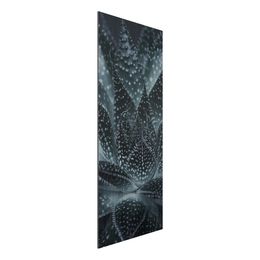 Alu Dibond Outdoor Bild - Kaktus mit Sternpunkten bei Nacht - schwarz Motiv wetterfest Deko Wohnzimmer Schlafzimmer