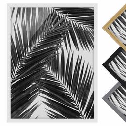 Bilderwelten Bild mit Rahmen Natur schwarz weiss Tropisch inkl. Rahmung - Blick durch Palmenbl&auml;tter schwarz wei&szlig; - Landschaft Wohnzimmer Schlafzimmer