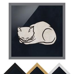 Bilderwelten Bild mit Rahmen Schlafende Katze Illustration