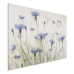 Alu Dibond Outdoor Bild - Kornblumen und Gr&auml;ser im Feld - Blumen violett Landhaus wetterfest Gr&auml;ser Wohnzimmer Schlafzimmer