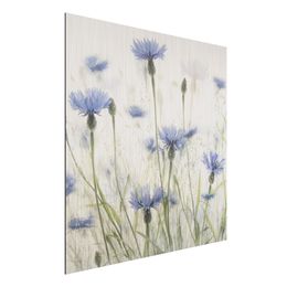 Bilderwelten Alu Dibond Outdoor Bild Blumen violett Landhaus wetterfest - Kornblumen und Gr&auml;ser im Feld - Gr&auml;ser Wohnzimmer Schlafzimmer