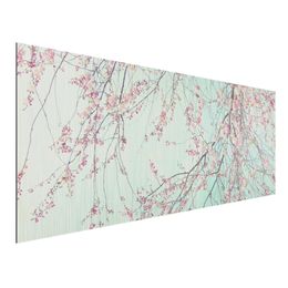 Bilderwelten Alu Dibond Outdoor Bild Blumen t&uuml;rkis Motiv wetterfest - Kirschbl&uuml;tensehnsucht - Kirschbl&uuml;te Wohnzimmer Schlafzimmer